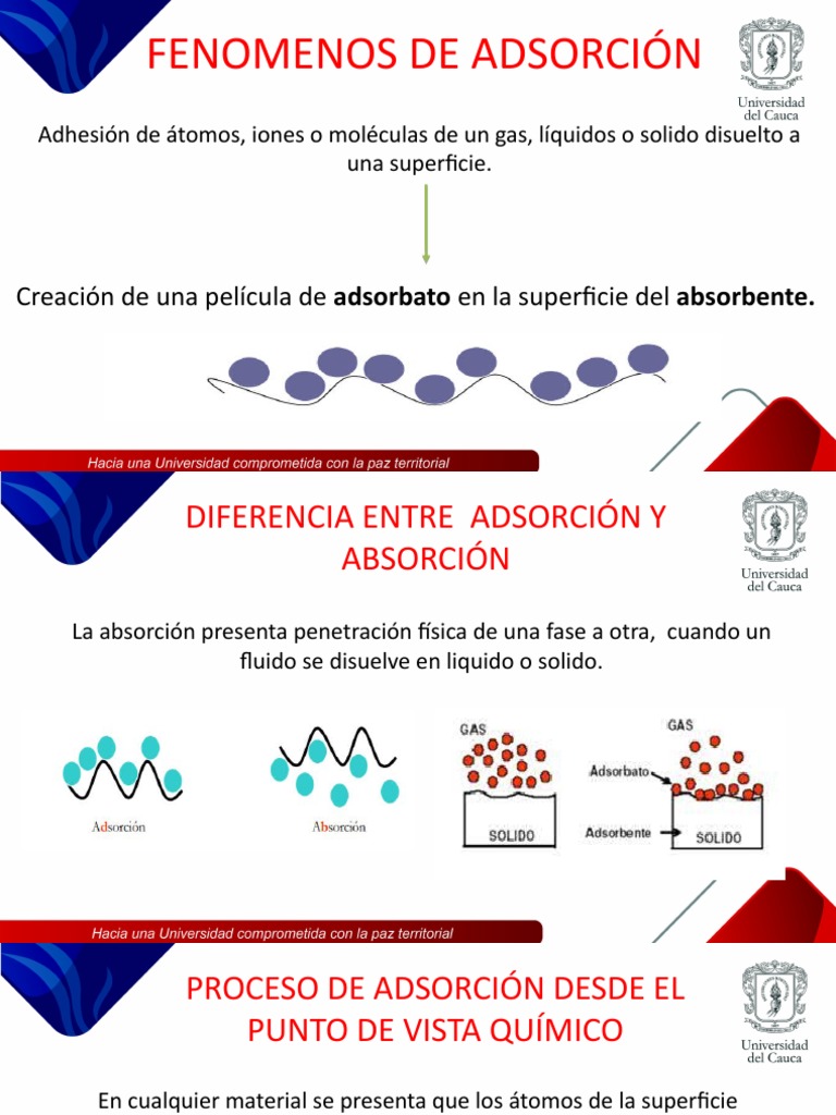 ADSORCION | PDF | Adsorción | Ingeniería Química