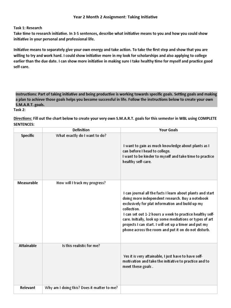 Initiative Worksheet Completed | PDF | Goal | Neuropsychological Assessment