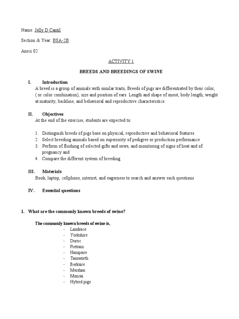 Cantil, Jelly D. - BSA2B - BREEDS AND BREEDINGS OF SWINE - ACTIVITY1 | PDF | Domestic Pig | Pig
