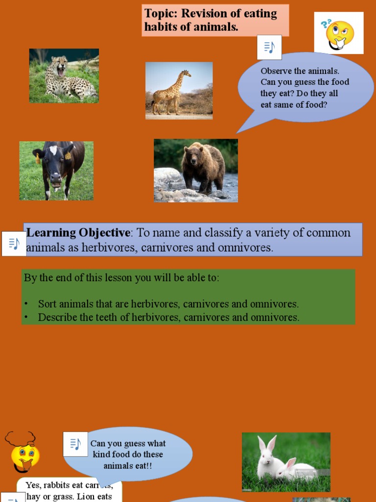 Observe The Animals. Can You Guess The Food They Eat? Do They All Eat ...