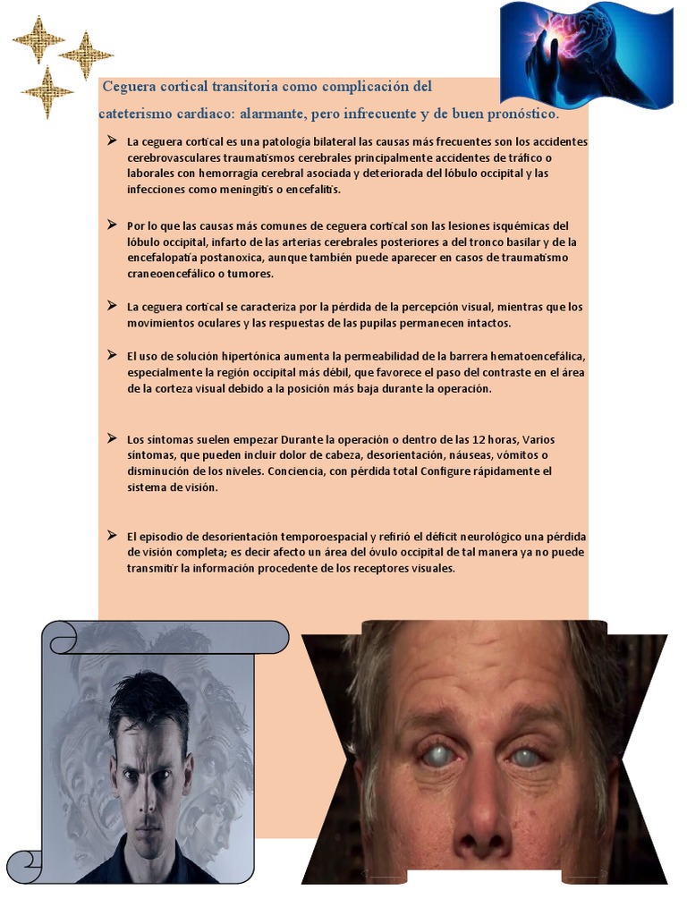 Ceguera Cortical Transitoria Como Complicación Del | PDF