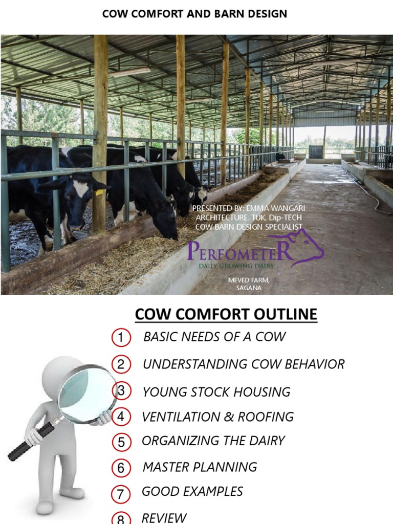 Cow Barn Design & Cow Comfort East African Version | PDF | Cattle ...