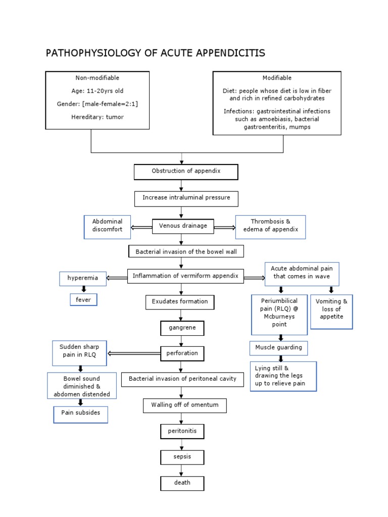 Acute Appendicitis Pathophysiology Schematic Diagram Abc Rad