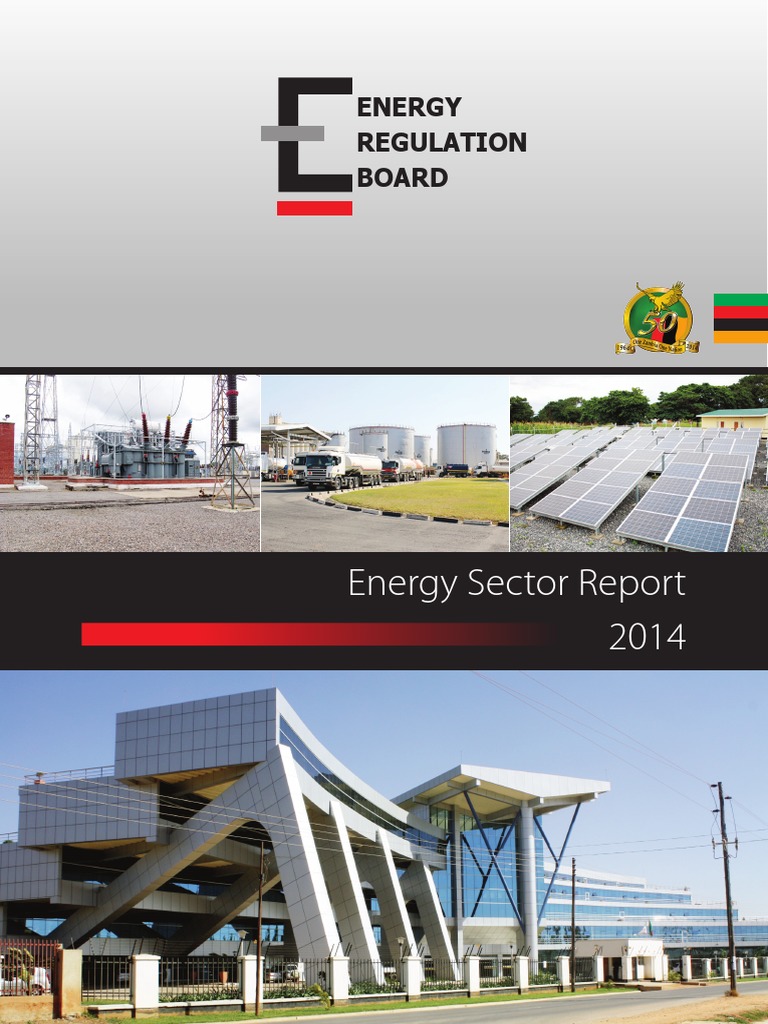2014 Energy Sector Overview Report | PDF | Energy Industry | Economies