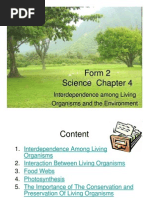 Module 2 Answer Key | PDF