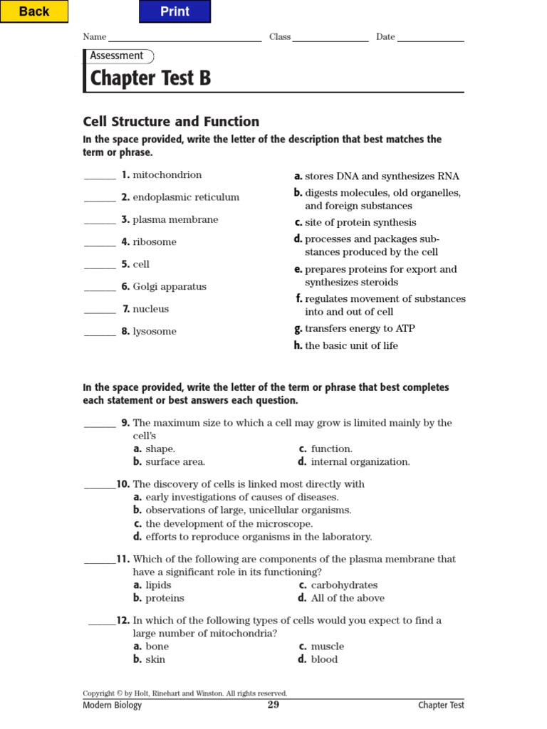 Chapter 10 Science Cells Test | PDF | Cell (Biology) | Cell Nucleus