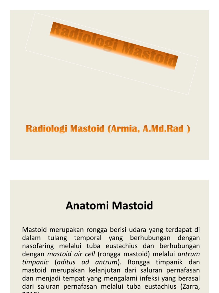 MASTOID & Processus Styloideus | PDF