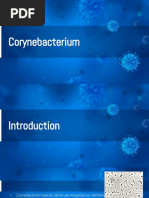 Avian Insight Dermatitis - Issue 4 | PDF | Broiler | Infection