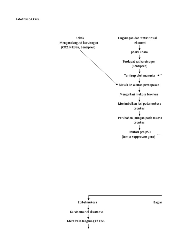 Revisi Patof CA | PDF