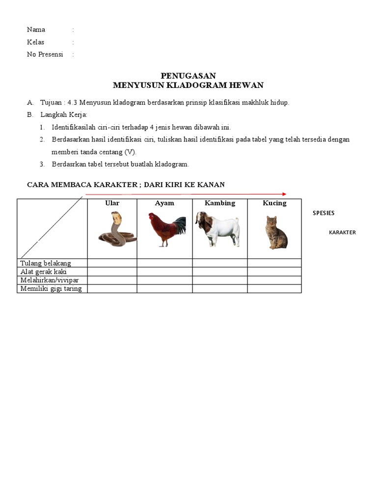 Menyusun Kladogram Hewan dan Penjelasannya | PDF