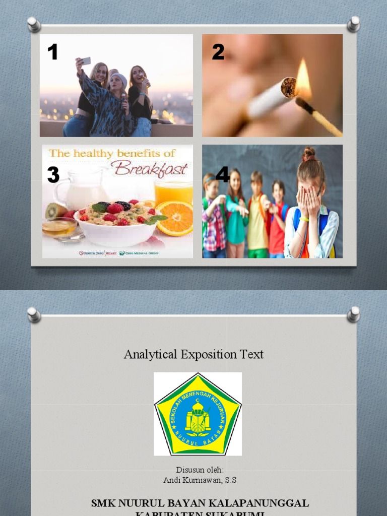 Understanding the Generic Structure and Language Features of Analytical ...