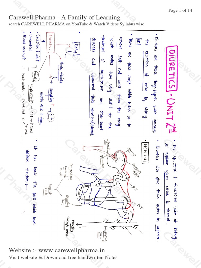 Diuretics - CHPT 2 Unit 2 M.C.2 by Carewell Pharma | PDF | Video | Media Sharing