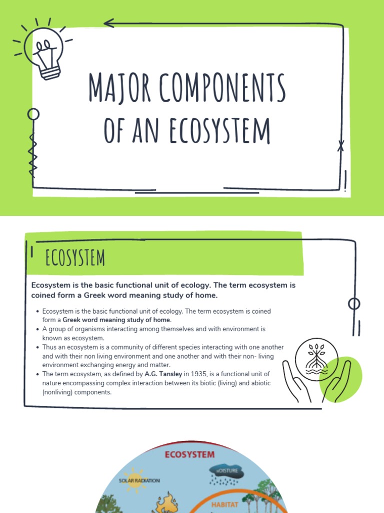Major Components of An Ecosystem | PDF | Ecosystem | Life