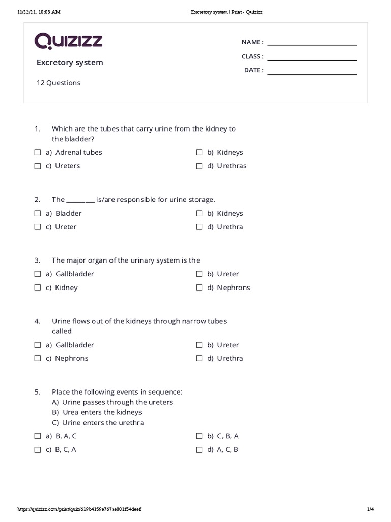 Excretory System Quiz and Answers | PDF | Urine | Urinary Bladder