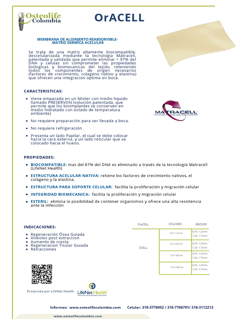 Matriz Dermica - Oracell | PDF | Regeneración (biología) | Crecimiento ...