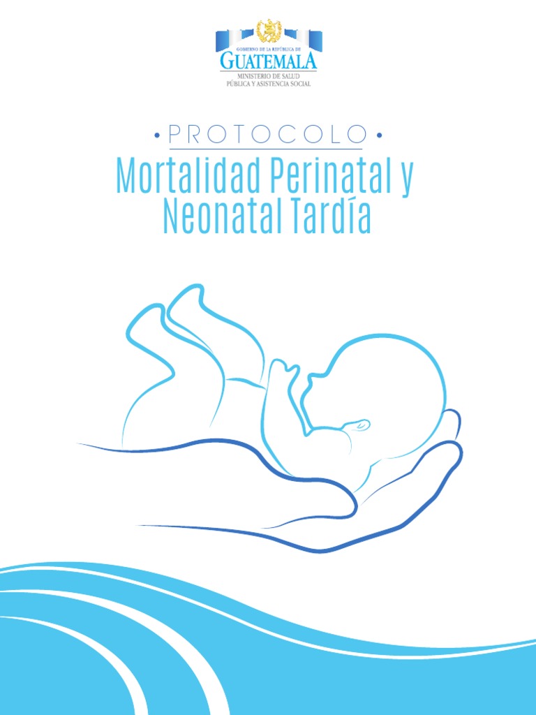 Protocolo Mortalidad Perinatal y Neonatal Tardía | PDF