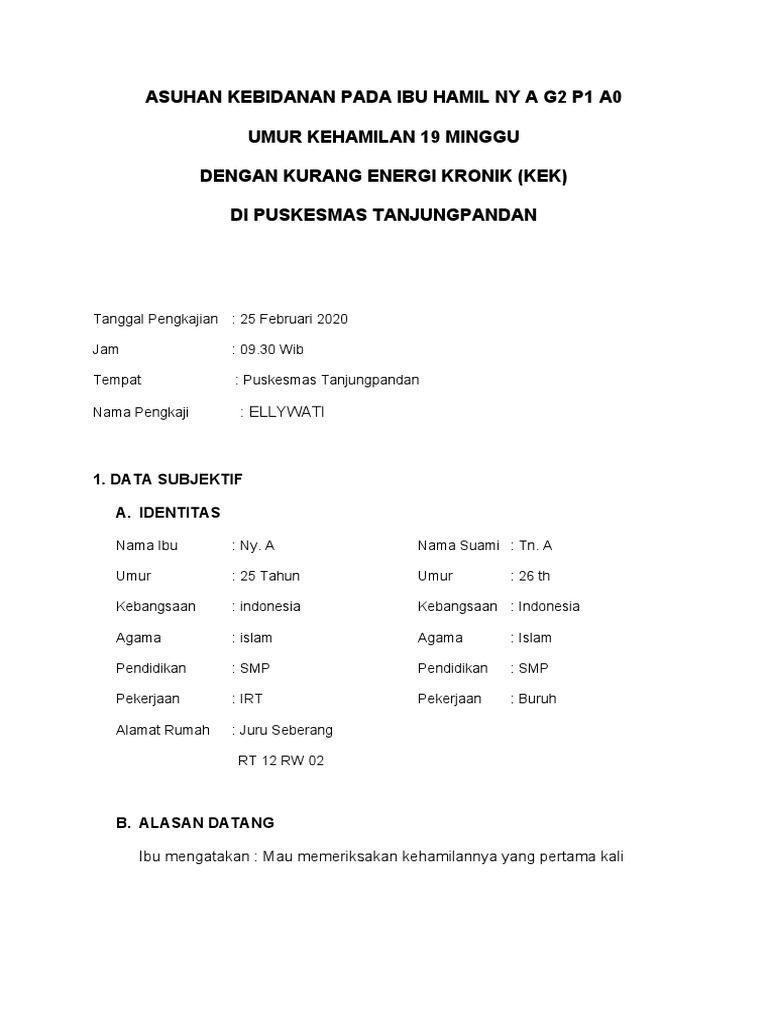 Asuhan Kebidanan Ibu Hamil 19 Minggu | PDF