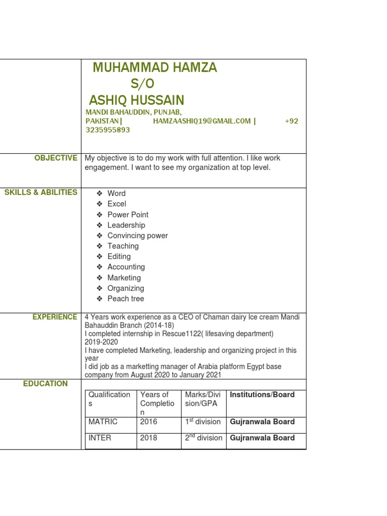 Muhammad Hamza CV 181360022 | PDF