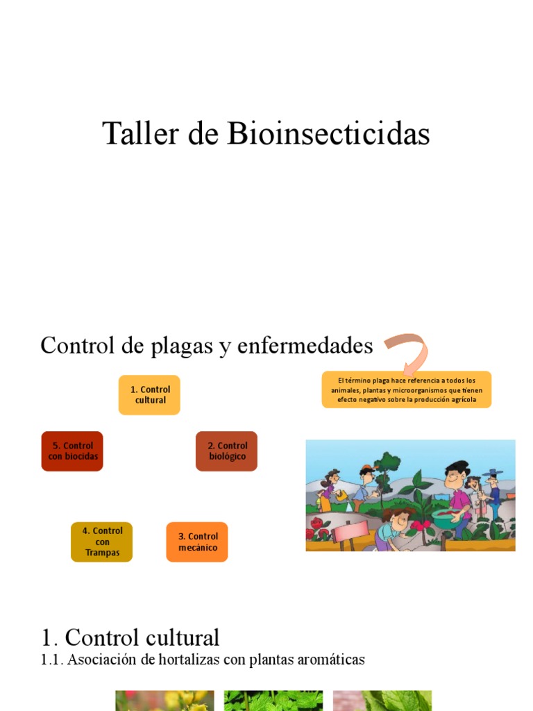 Taller de Bioinsecticidas | PDF | Control biológico de plagas | Plaga ...