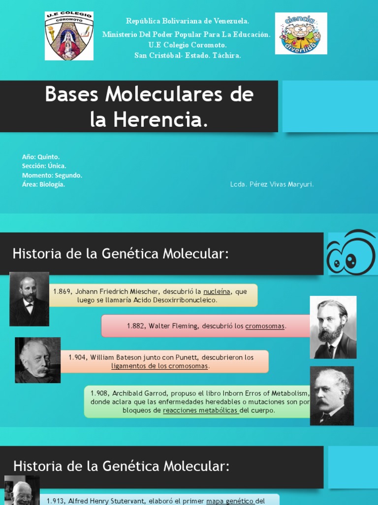 Bases Moleculares de La Herencia Parte 1 | PDF | Adn | Genética