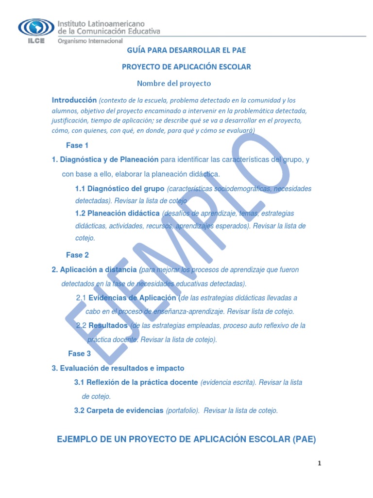 Guia Elaboracion Del PAE - Ejemplos | PDF | Educación primaria | Evaluación