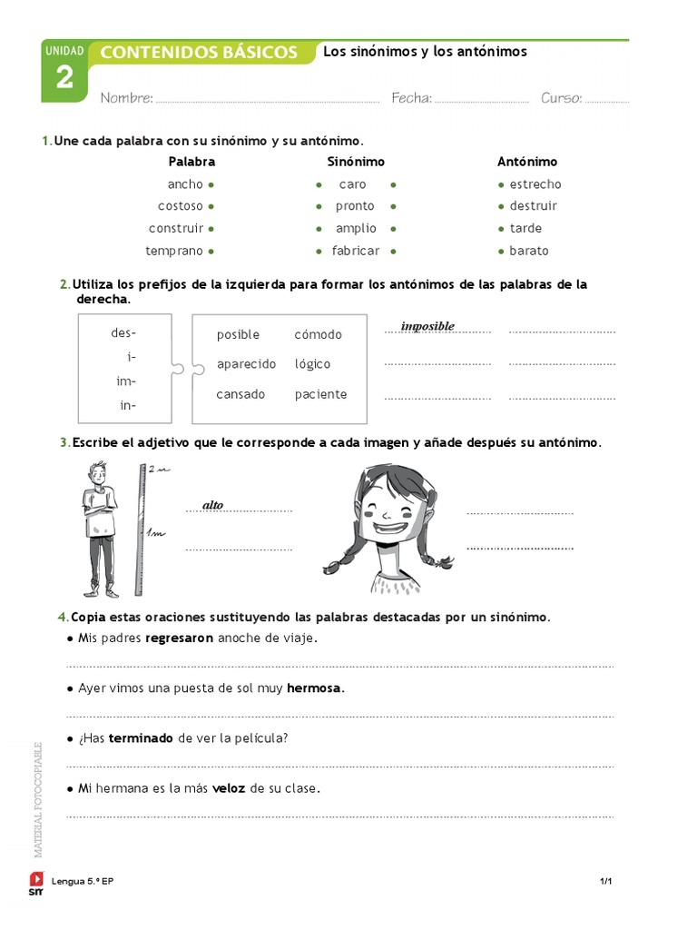 Sinónimos y Antónimos | PDF