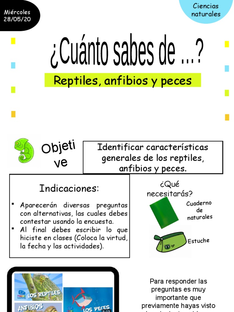 Clase 3 de Junio Juego de Reptiles, Anfibios y Peces | PDF | Anfibio ...