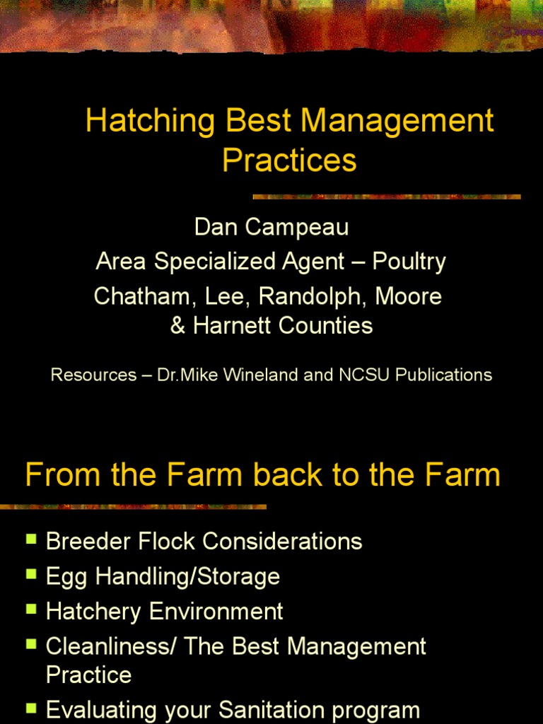 Hatching Best Management Practices | PDF | Egg