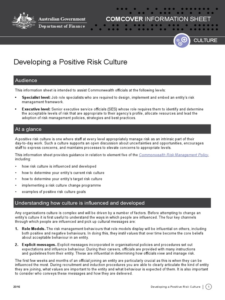 Checklist For Developing Positive Risk Culture | PDF