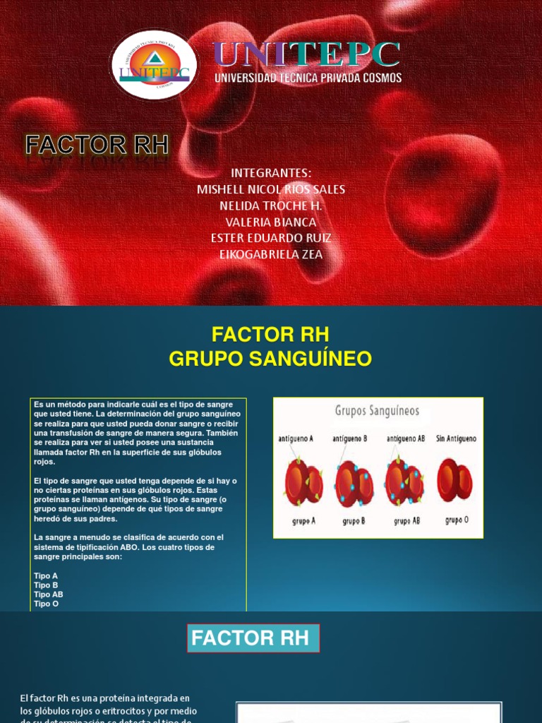 Comprendiendo el Factor Rh y Grupos Sanguíneos | PDF | Tipo de sangre ...
