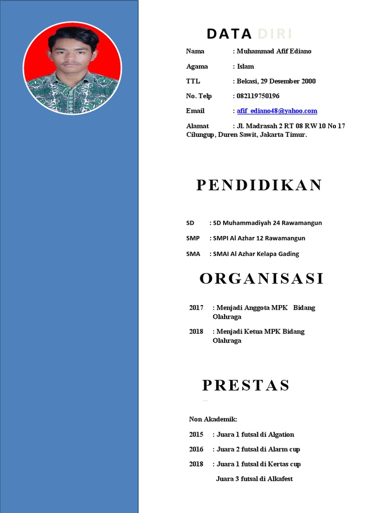 CV Usakti Afif | PDF