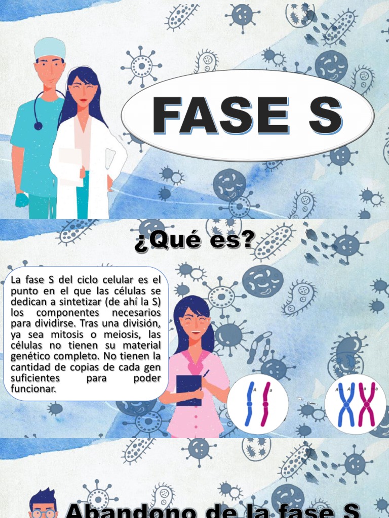 Fases S | PDF