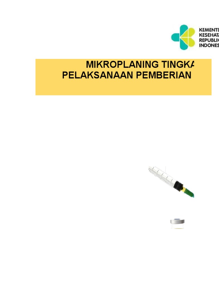Form MICROPLANNING | PDF