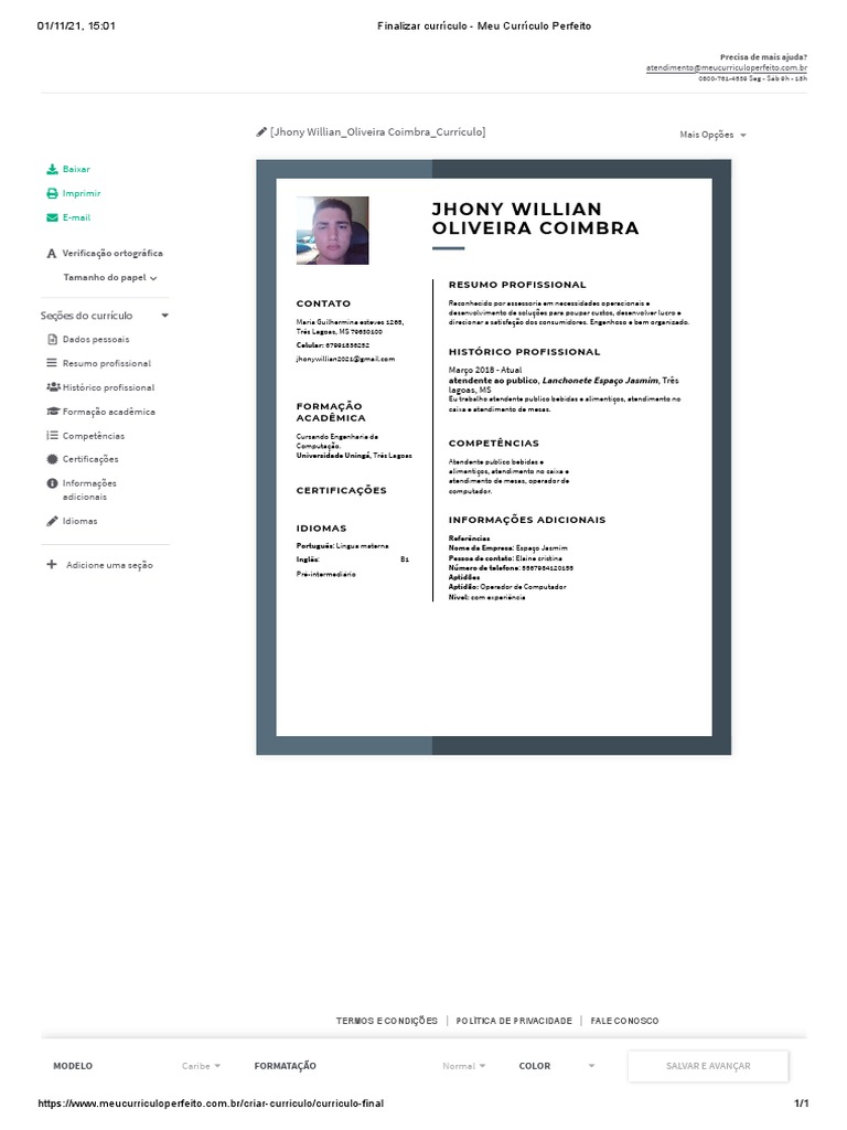 Finalizar Currículo - Meu Currículo Perfeito | PDF | Informática