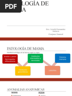 Piimss 2020 2024 VF | PDF | Ciencias de la Salud