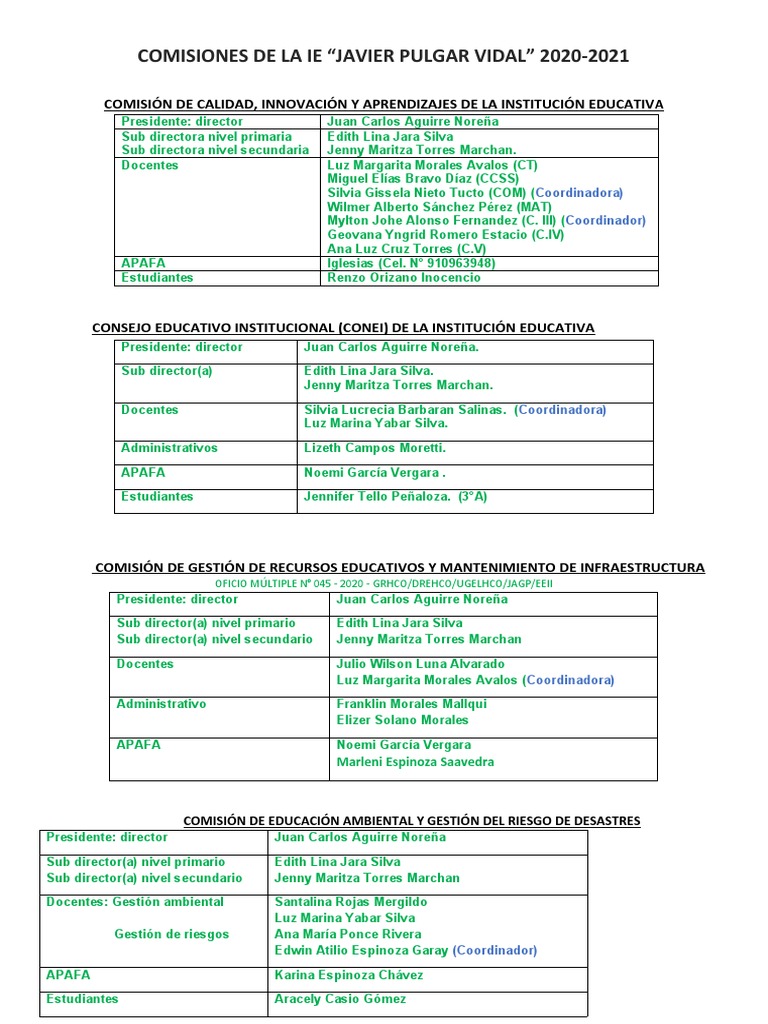 Comisiones 2020 Resumen | PDF