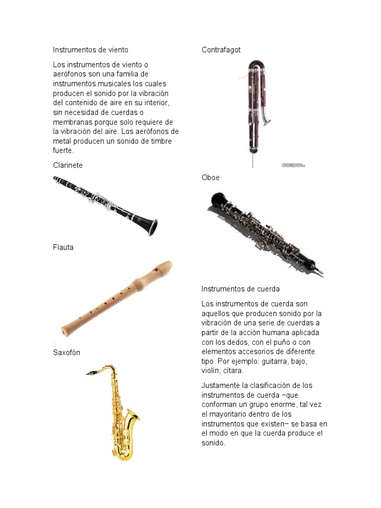 Instrumentos Musicales: Viento, Cuerda y Percusión | PDF | Instrumentos ...