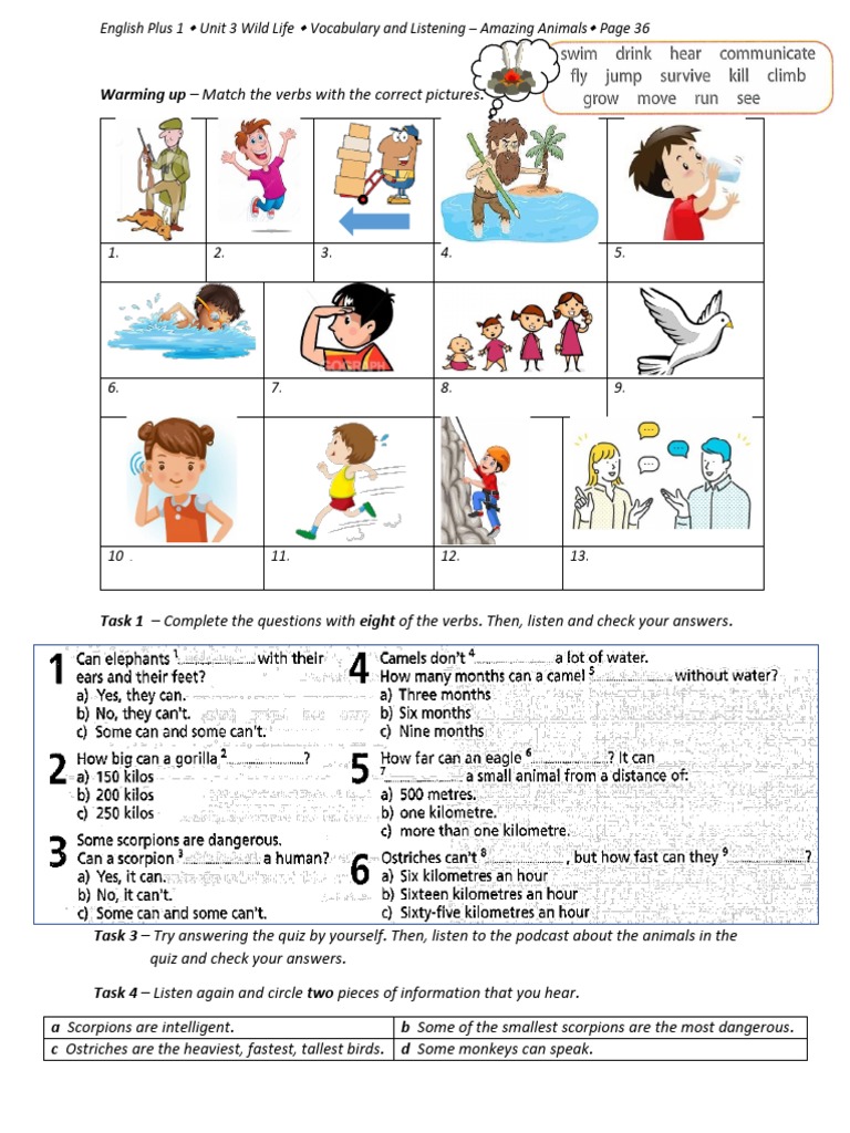 Worksheet - Vocabulary and Listening - Amazing Animals | PDF