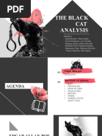 The Black Cat Comprehension and Discussion Questions | PDF