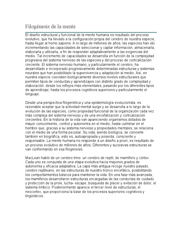 Evolución del Cerebro Humano | PDF | Cerebro | Mente