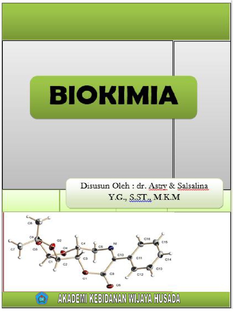 Buku Ajar Biokimia | PDF