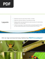 Sistemang Palaycheck para Sa Palayang May Patubig PDF | PDF