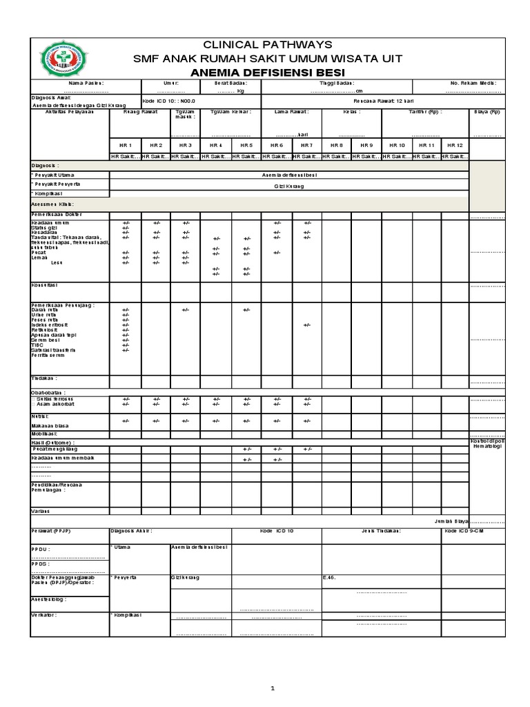 Clinical Pathway Form Anemia Defisiensi Besi | PDF