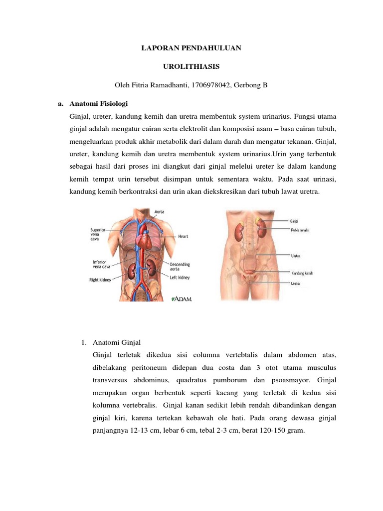 Minggu 2 - LP Urothiliasis | PDF