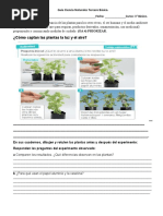 Guía N°3 Partes y Necesidades de Una Planta Ciencias Naturales Tercero ...