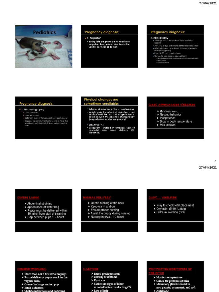 Pediatrics Handouts Pdf Childbirth Pregnancy