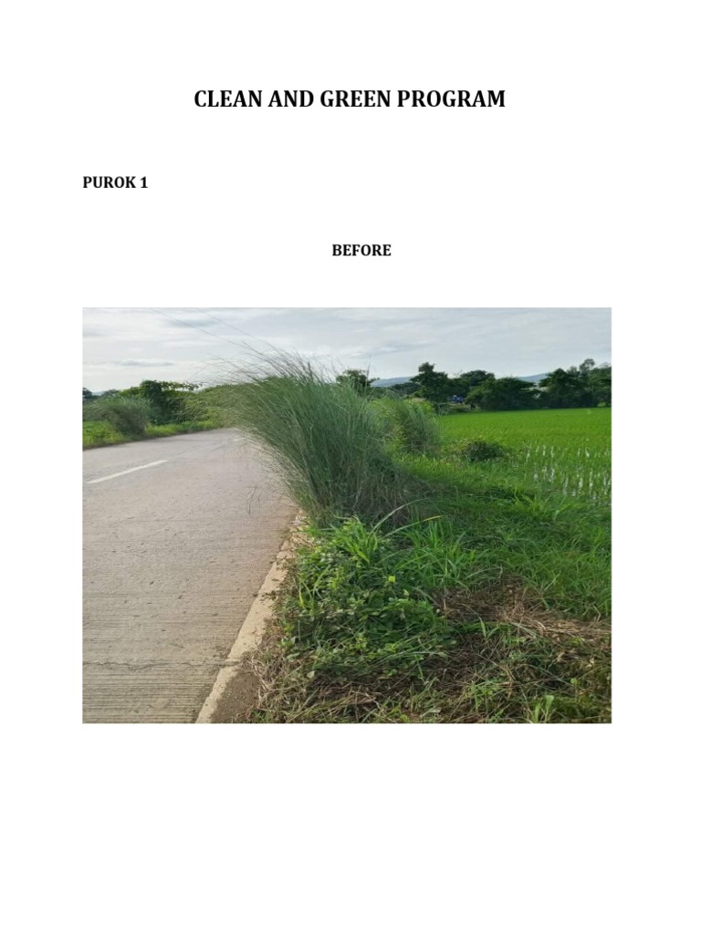 Clean and Green Program | PDF