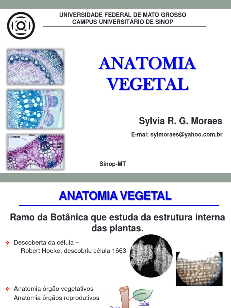 1a. Aula Pratica - Introducao A Anatomia e Tecnicas em Anatomia Vegetal ...