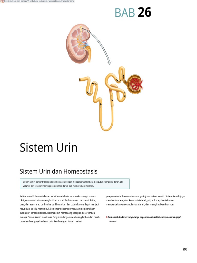 Tortora 15th 1009 1046.auto - Id | PDF