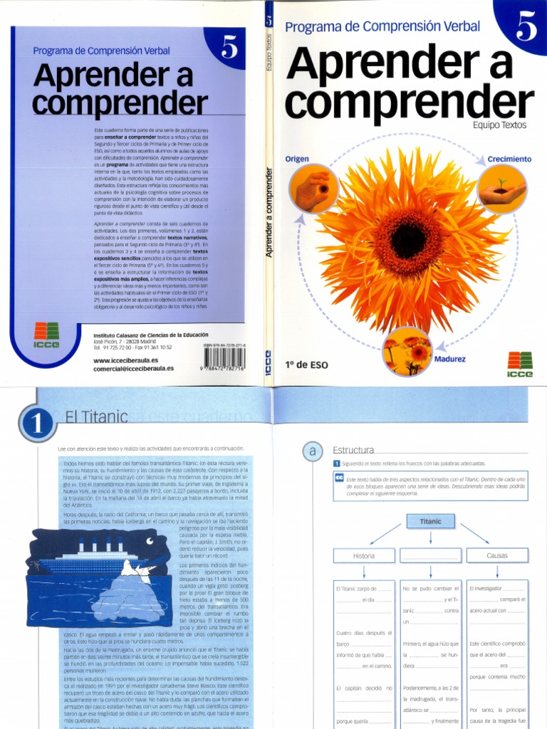 Aprender A Comprender 5 | PDF